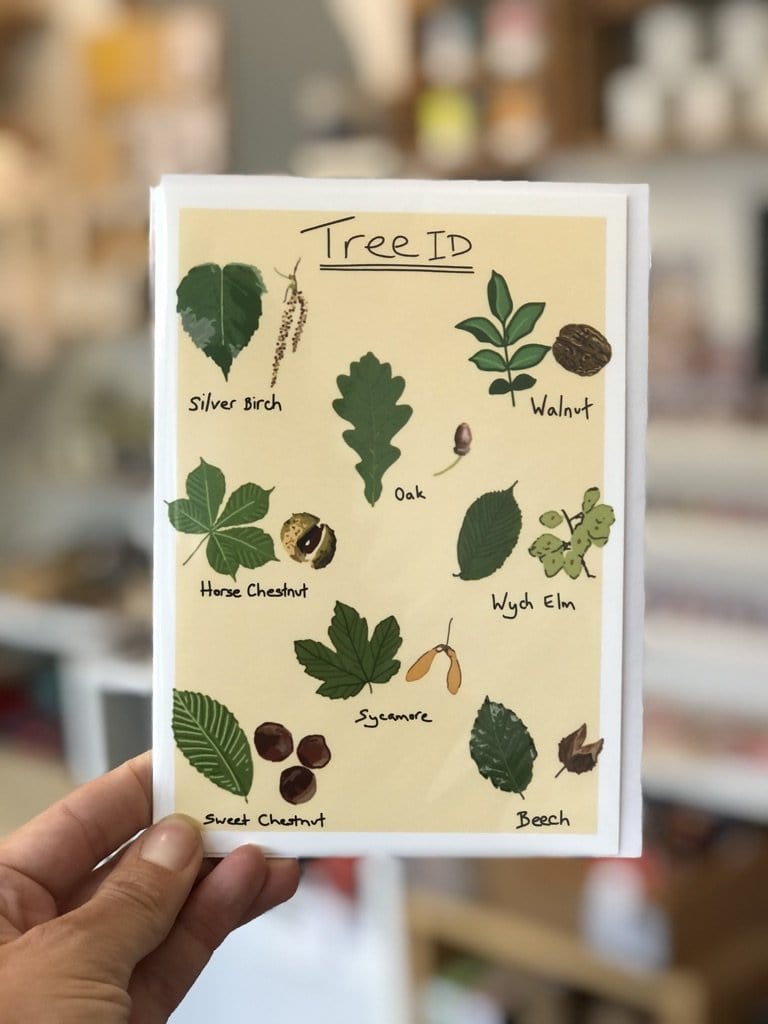 Tree Identification Card – Paper Plane Bristol